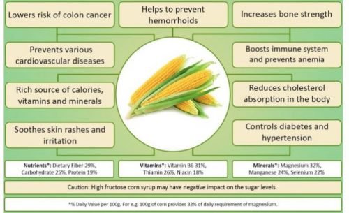Corn - How to Cook it and Health Benefits - Cook After Me